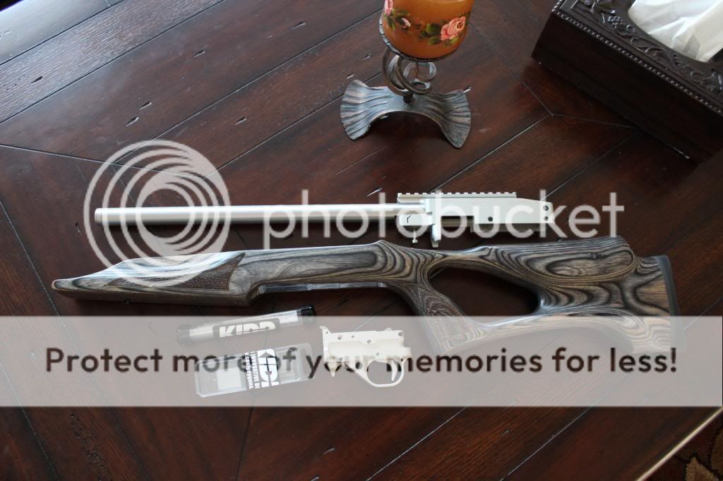 Hi-ho Silver away !!! Kidd with Tacsol Vantage RS | Rimfire Central ...