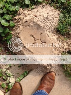 Branding iron | Smith & Wesson Forum – The Community for S&W Collectors ...