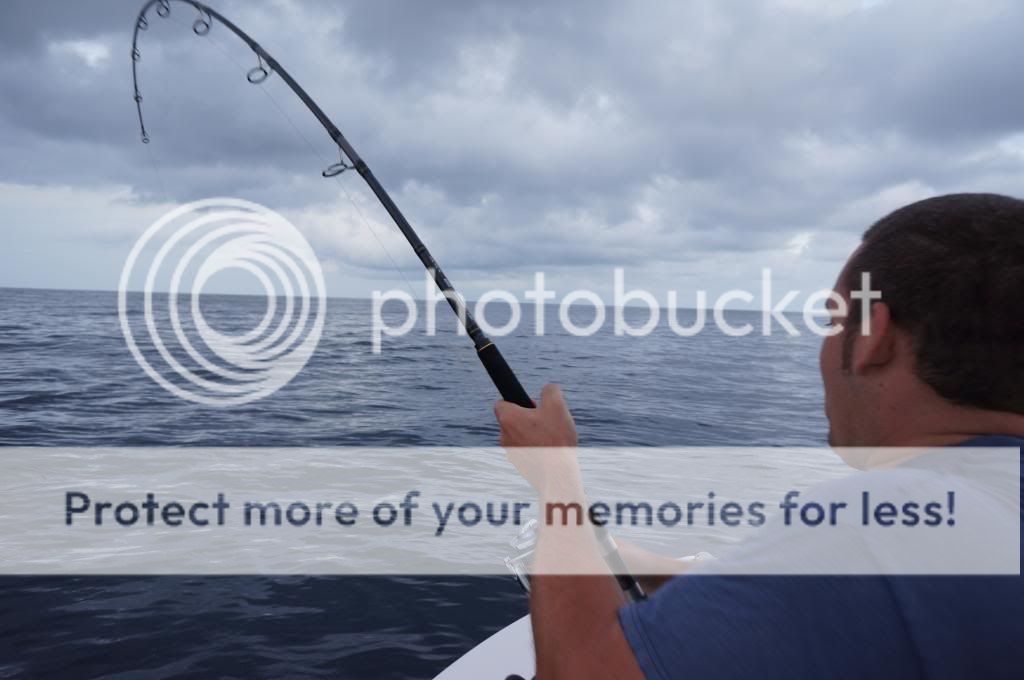 2014 Synit Van Diemen StickBait Rods | 360 Tuna Fishers Forum