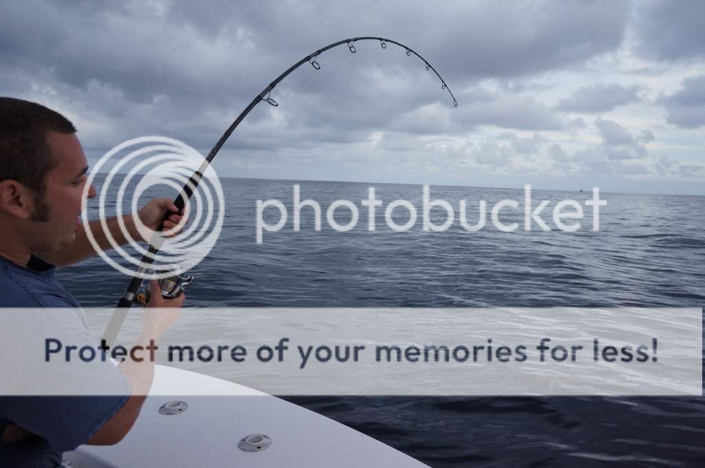 2014 Synit Van Diemen StickBait Rods | 360 Tuna Fishers Forum