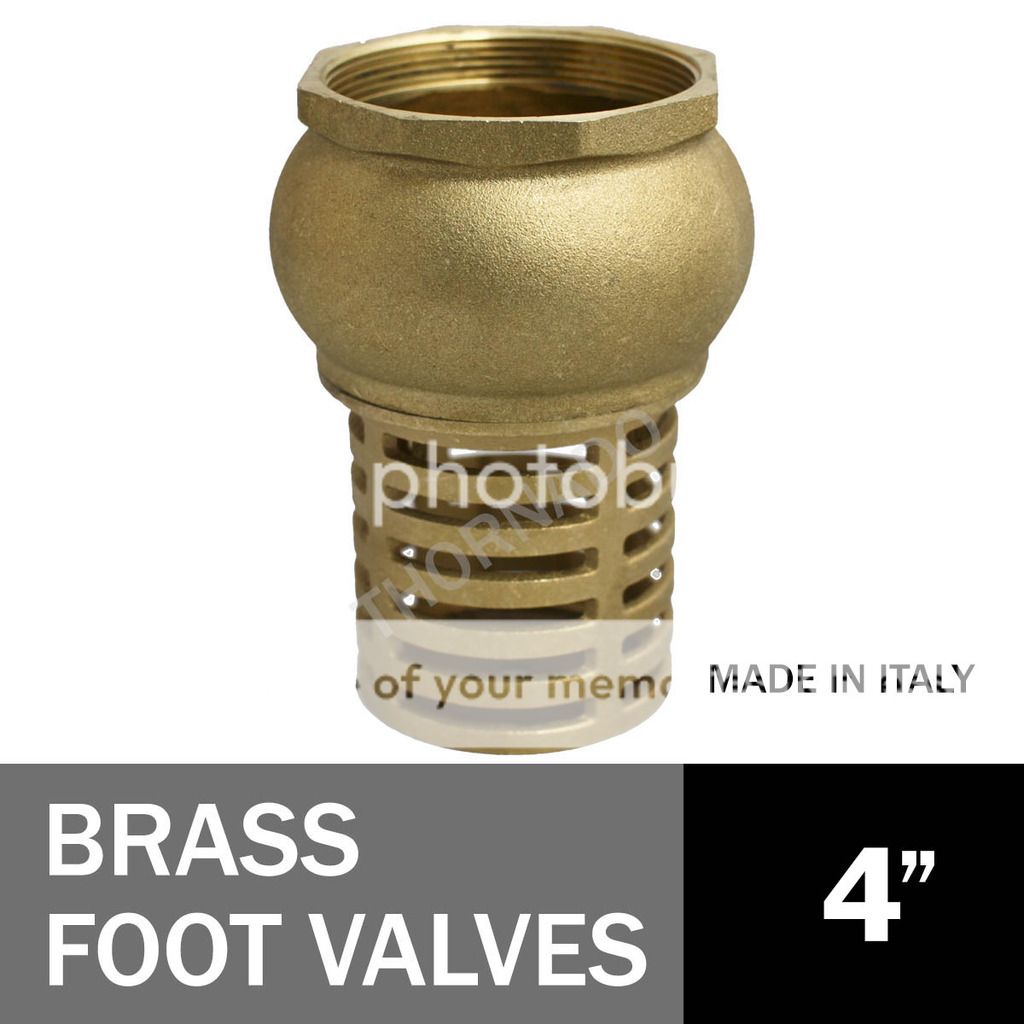 Female Threaded Foot Valve at Marco Lloyd blog